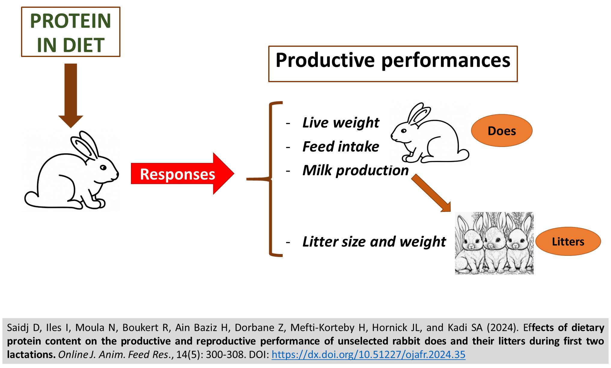 Welcome to O.J.A.F.R